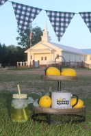 Something Resembling Lemonade – Taking the sourest of lemons that life ...